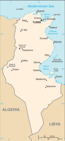 Tunisia map. Terrain, area and outline maps of Tunisia ...